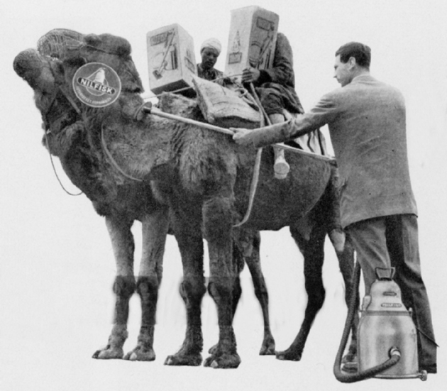 Linda Grimes: Visiting Reality : The Intergalactic Camel Vacuuming Win ...