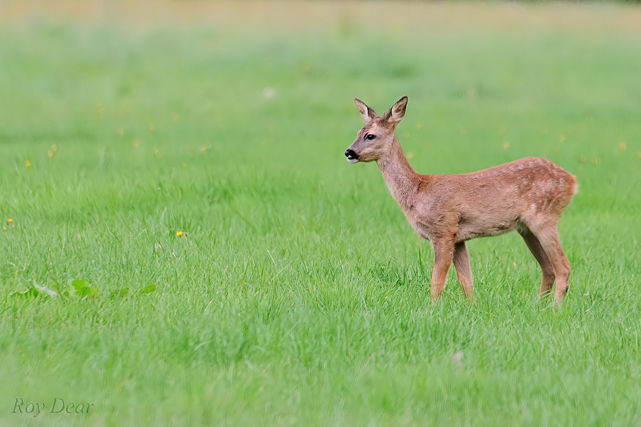 Foto's: september 2016