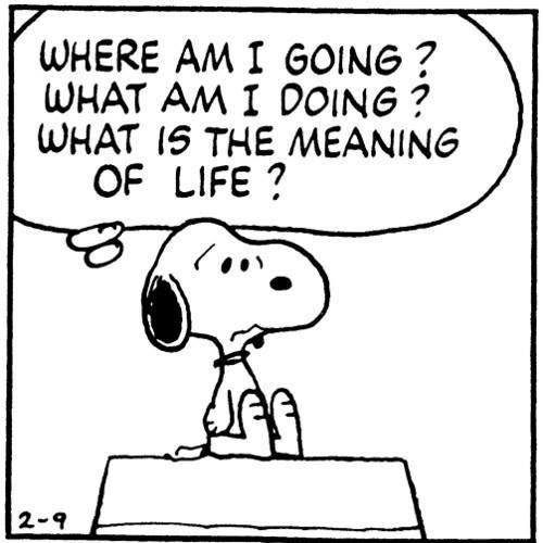 "Damsels- All of us out there- Arise!": The Snoopy Why