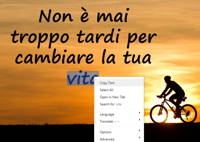 Copiare, tradurre e modificare il testo dalle immagini • Scuolissima.com