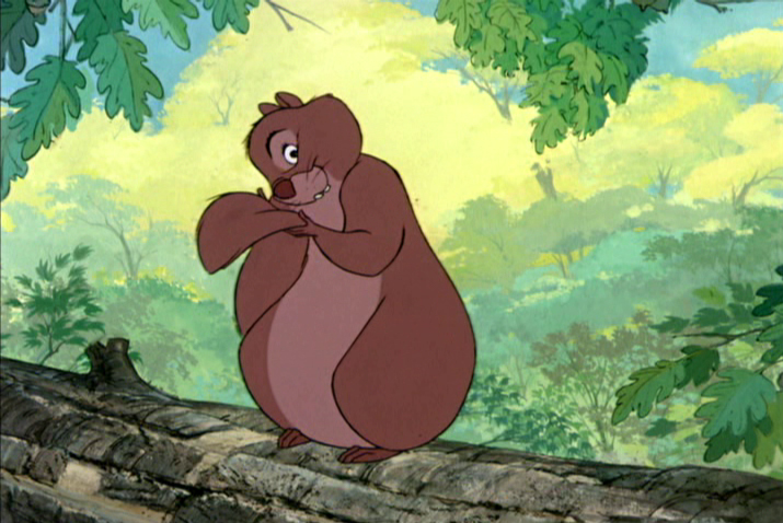 Deja View: Granny Squirrel