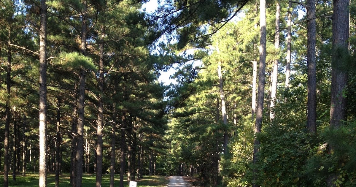 Trailbirder Wake County: Outing #15 - Schenck Forest