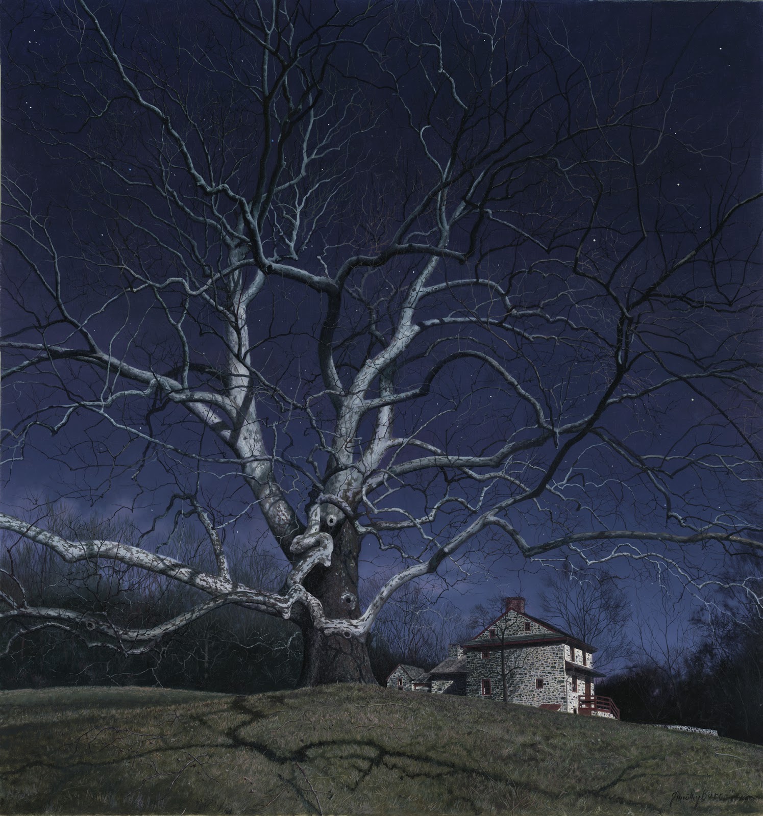 Bellissimo!: Timothy Barr