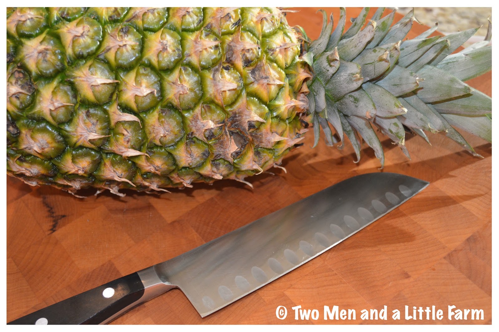 Two Men and a Little Farm: HOW TO PROPAGATE A PINEAPPLE