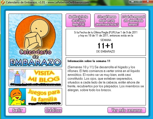 Calendario del embarazo - Imagui