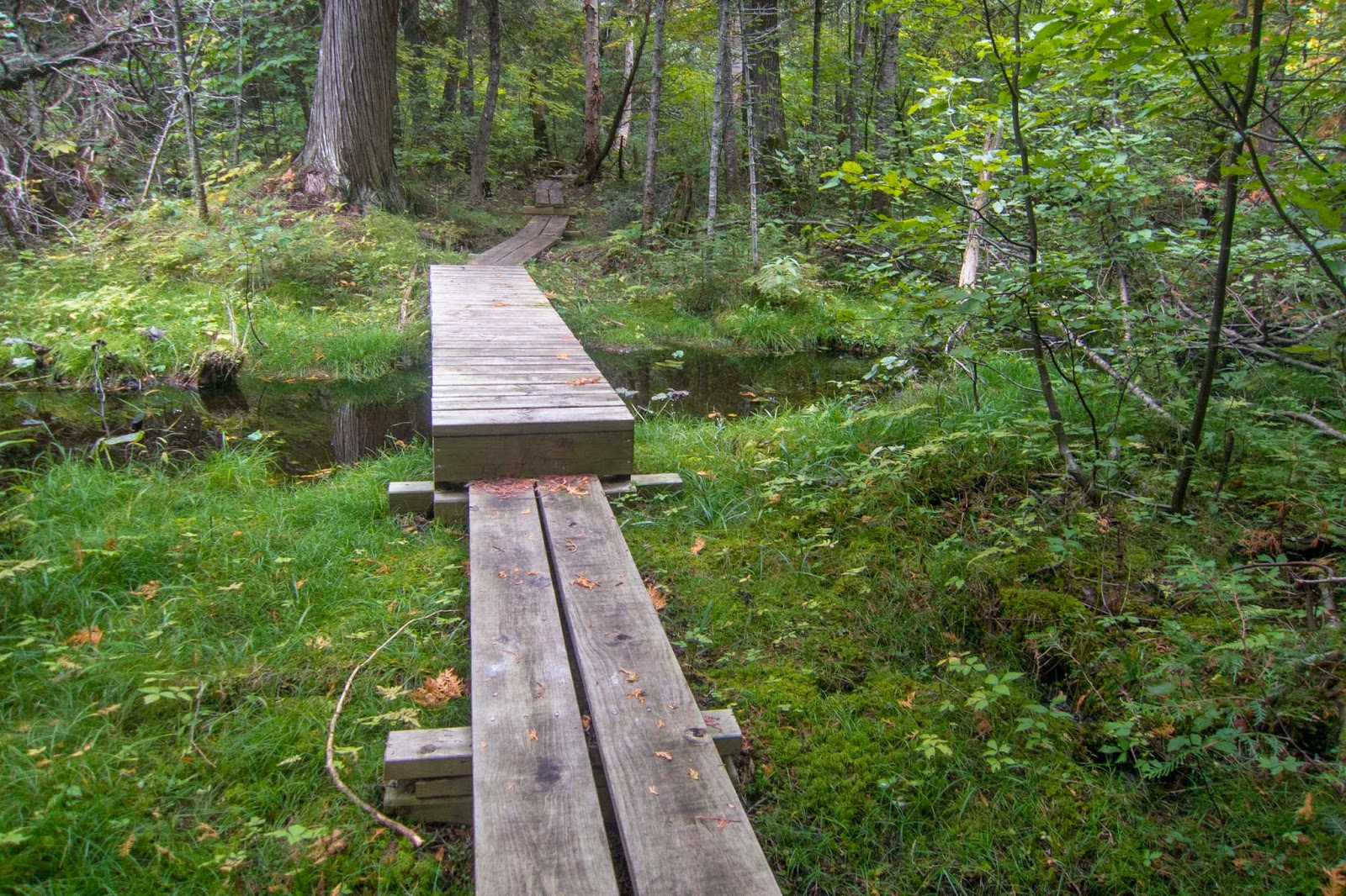 Eric's Hikes: Superior Hiking Trail: Grand Marais to 270 Degree Overlook