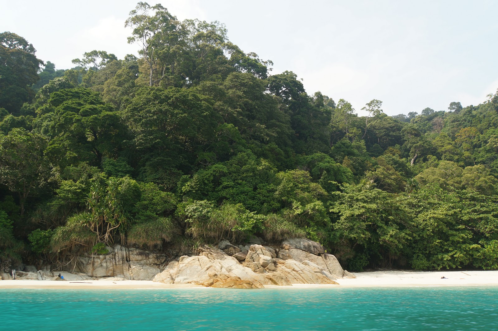 Malaisie - jour 19 : Perhentian Besar - De Turtle beach à Pulau rawa ...