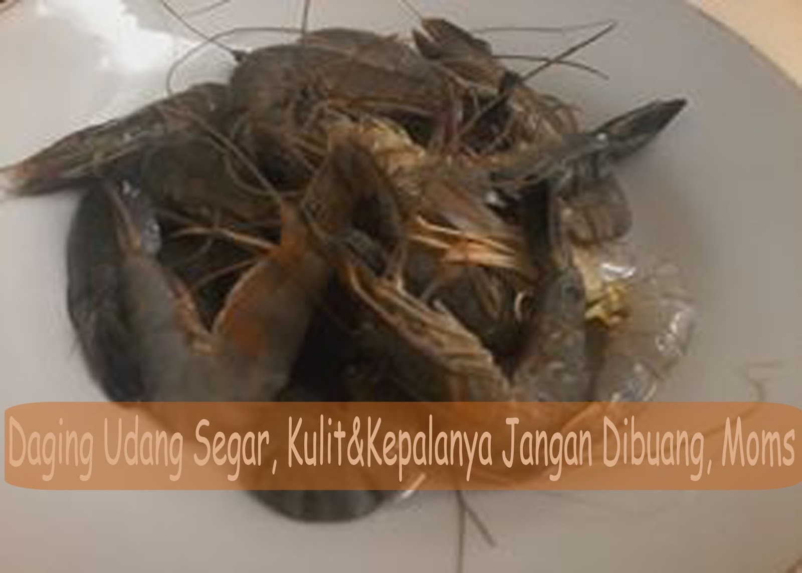 Mengolah Udang : Dibuang Sayang