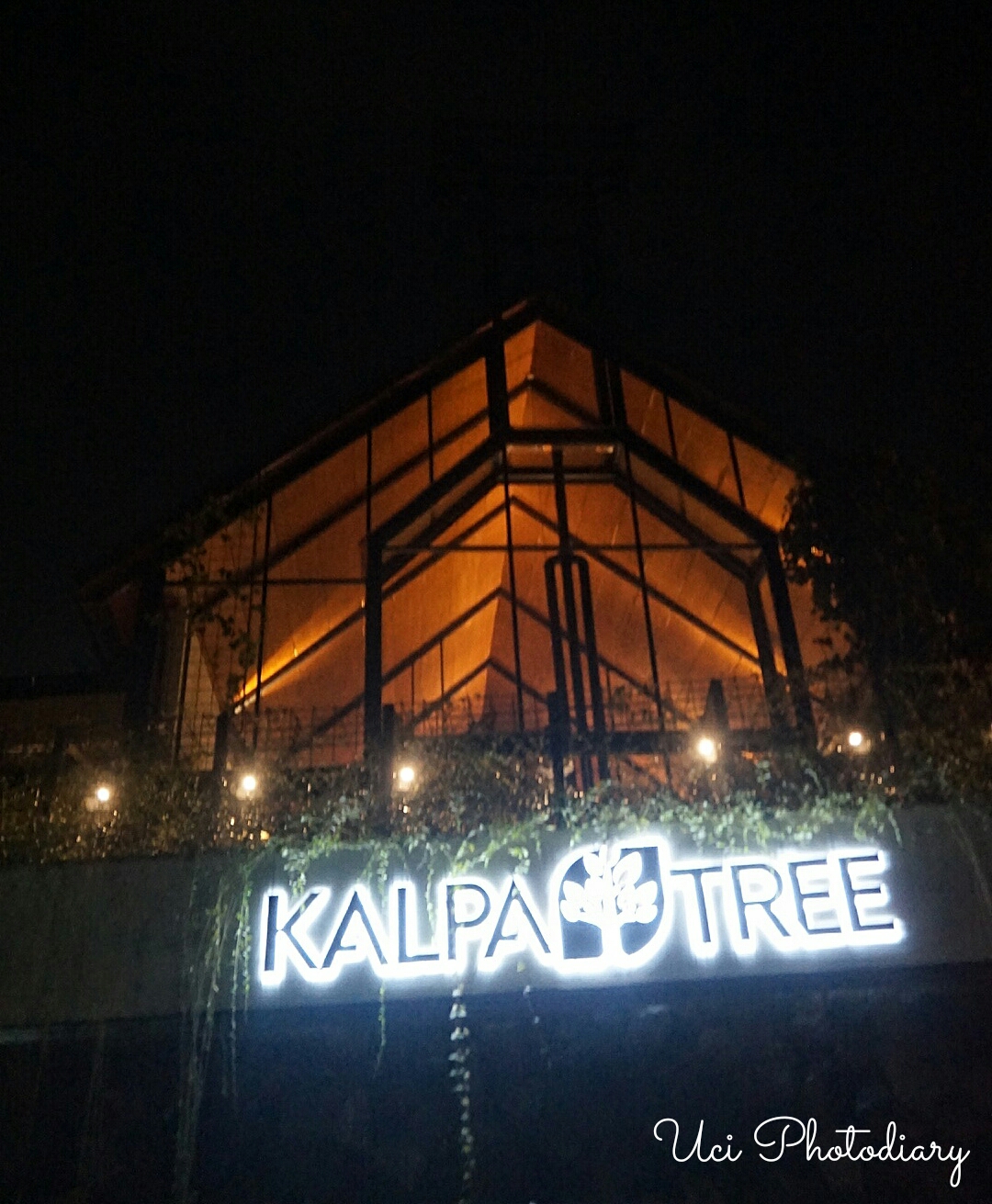 Menikmati Kalpa Tree Bandung