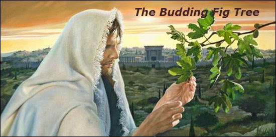Word Of God: Parables of Jesus - The Budding Fig Tree