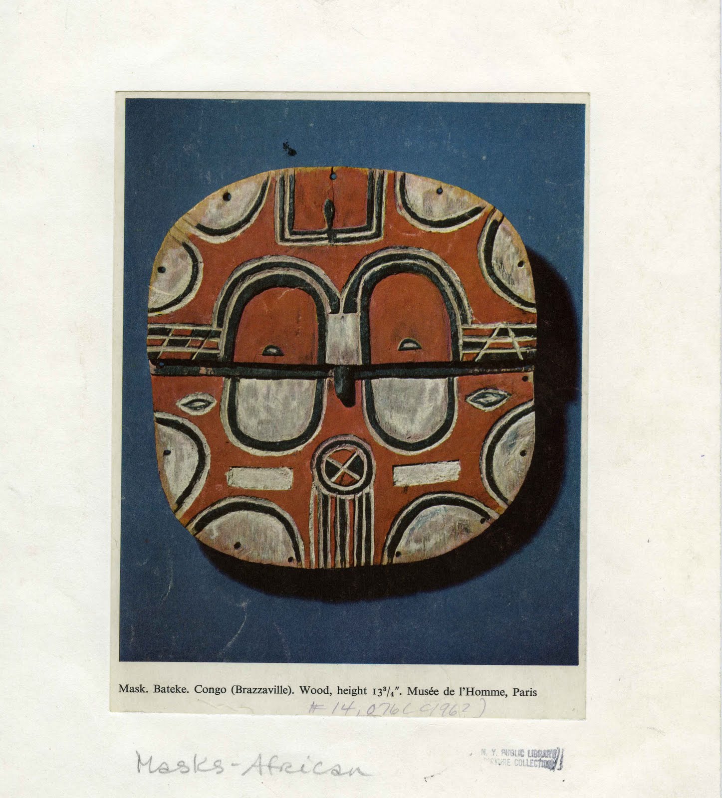 A is for Aye-Aye: An Abecedarian Adventure: Shadows of Forgotten ...