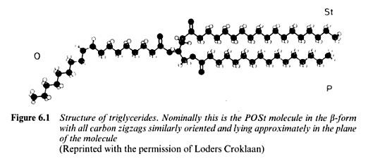 Eric's Apple: Chocolate