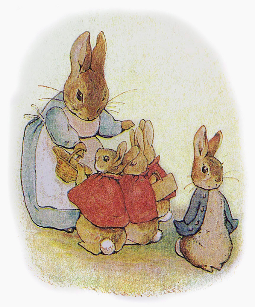 dontildon: Peter Rabbit