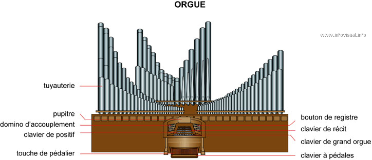 Orgue