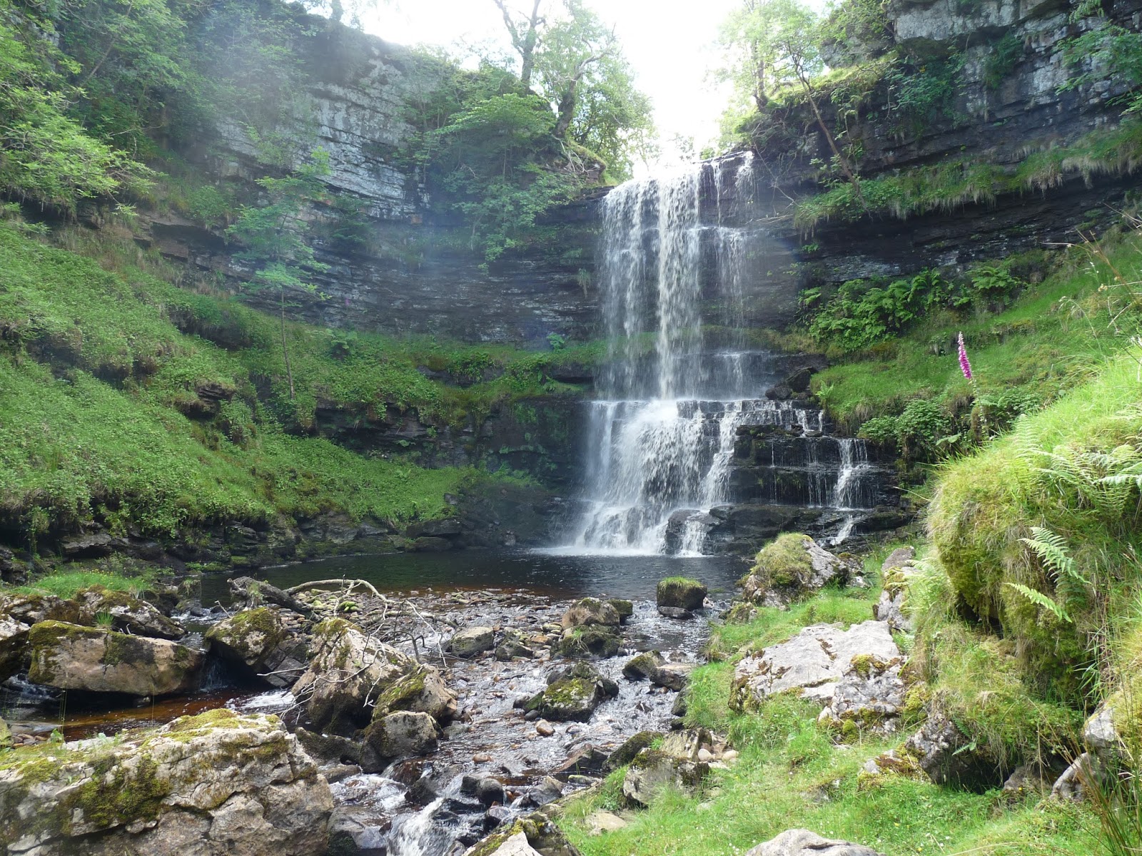 what it is, what it was, what it will be: Uldale Force Wild Swim