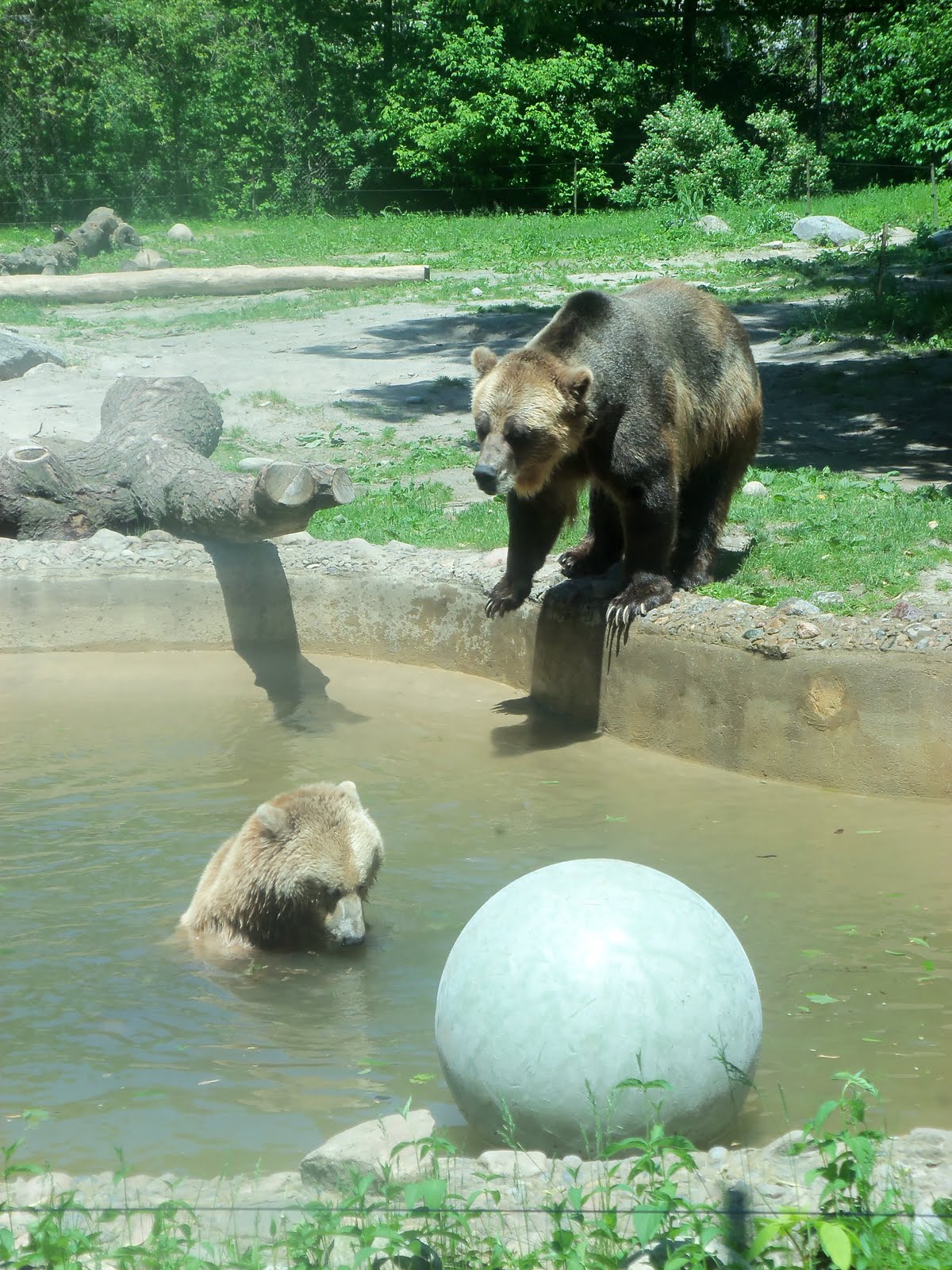 Two skinny, one fat: Zoo!