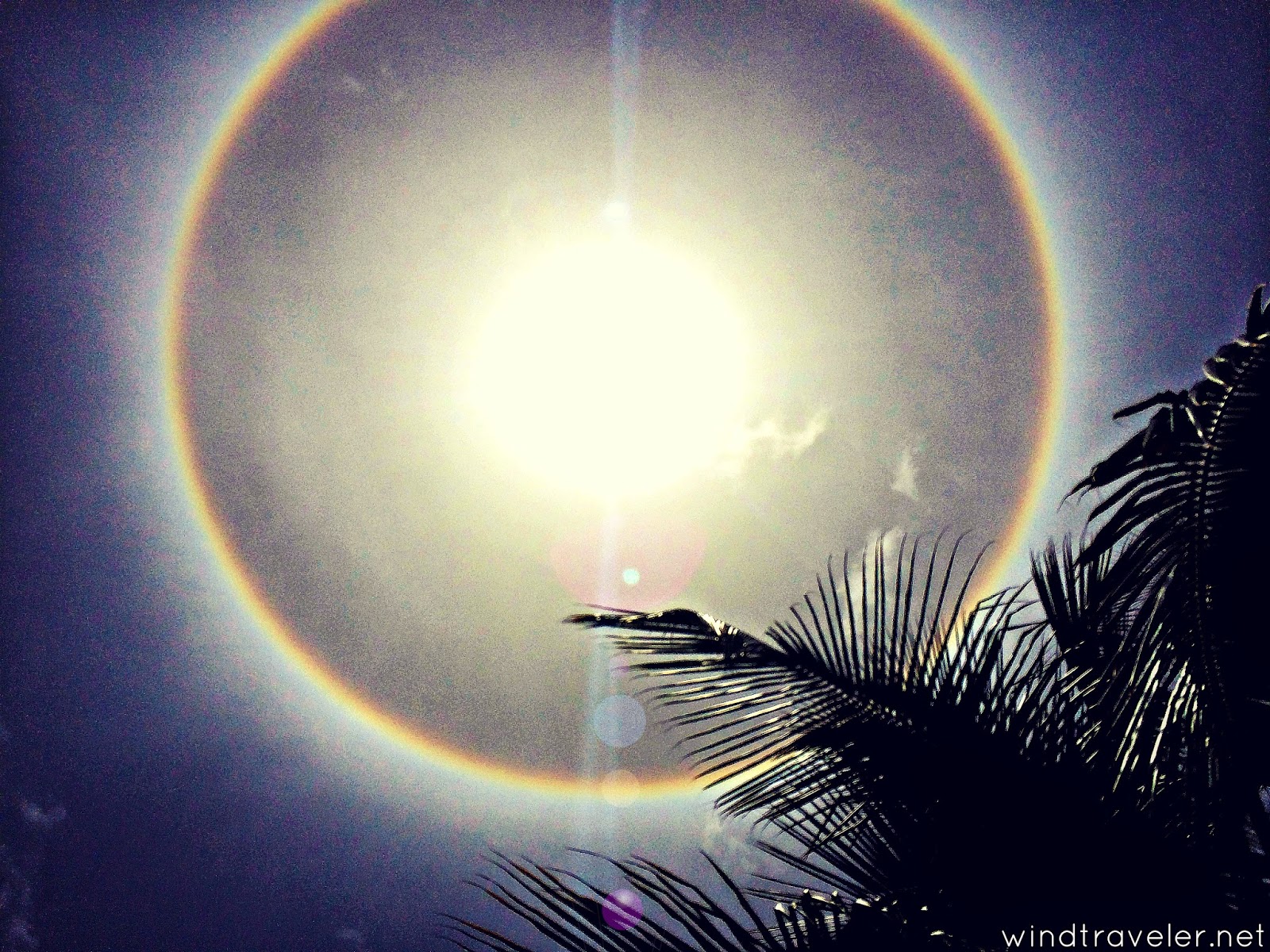 What Does Happy Sundog Mean