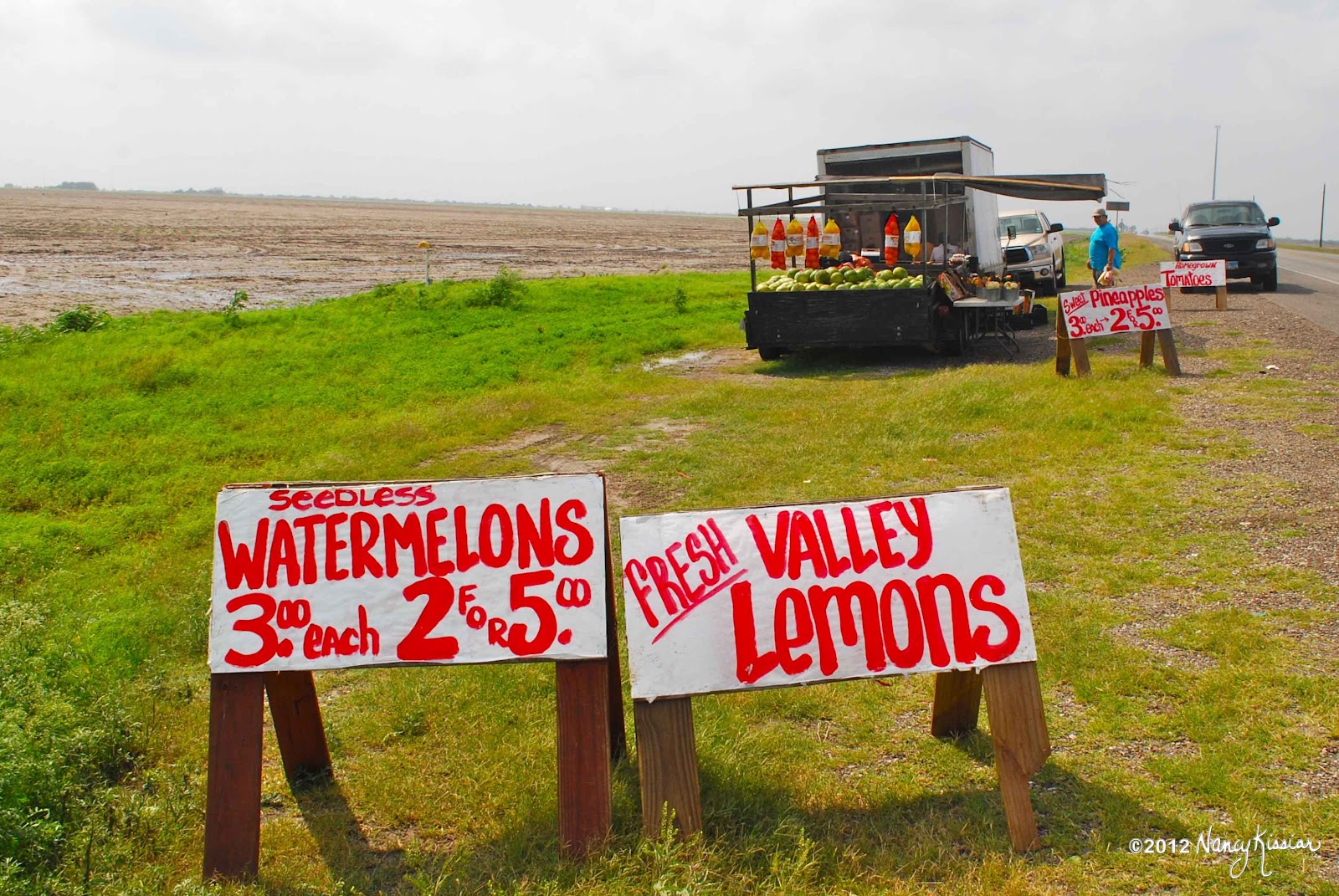 Wild About Texas: Buying Some of the Best Produce Straight From the Rio ...