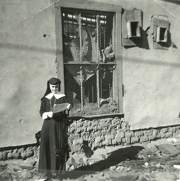 The Life of Sr. Gertrude Salitrik, O.L.V.M.S. (1911 - 2010): 2011