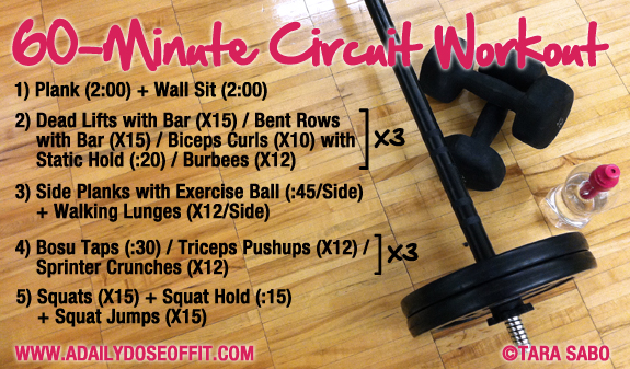 A Daily Dose of Fit: 60-Minute Circuit Workout