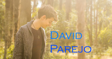 David Parejo : Biografía