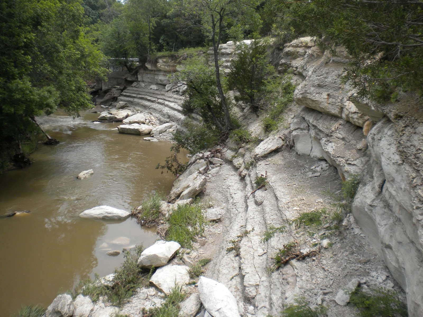 Hiking In Texas- Spring Creek Forest | East West Hike