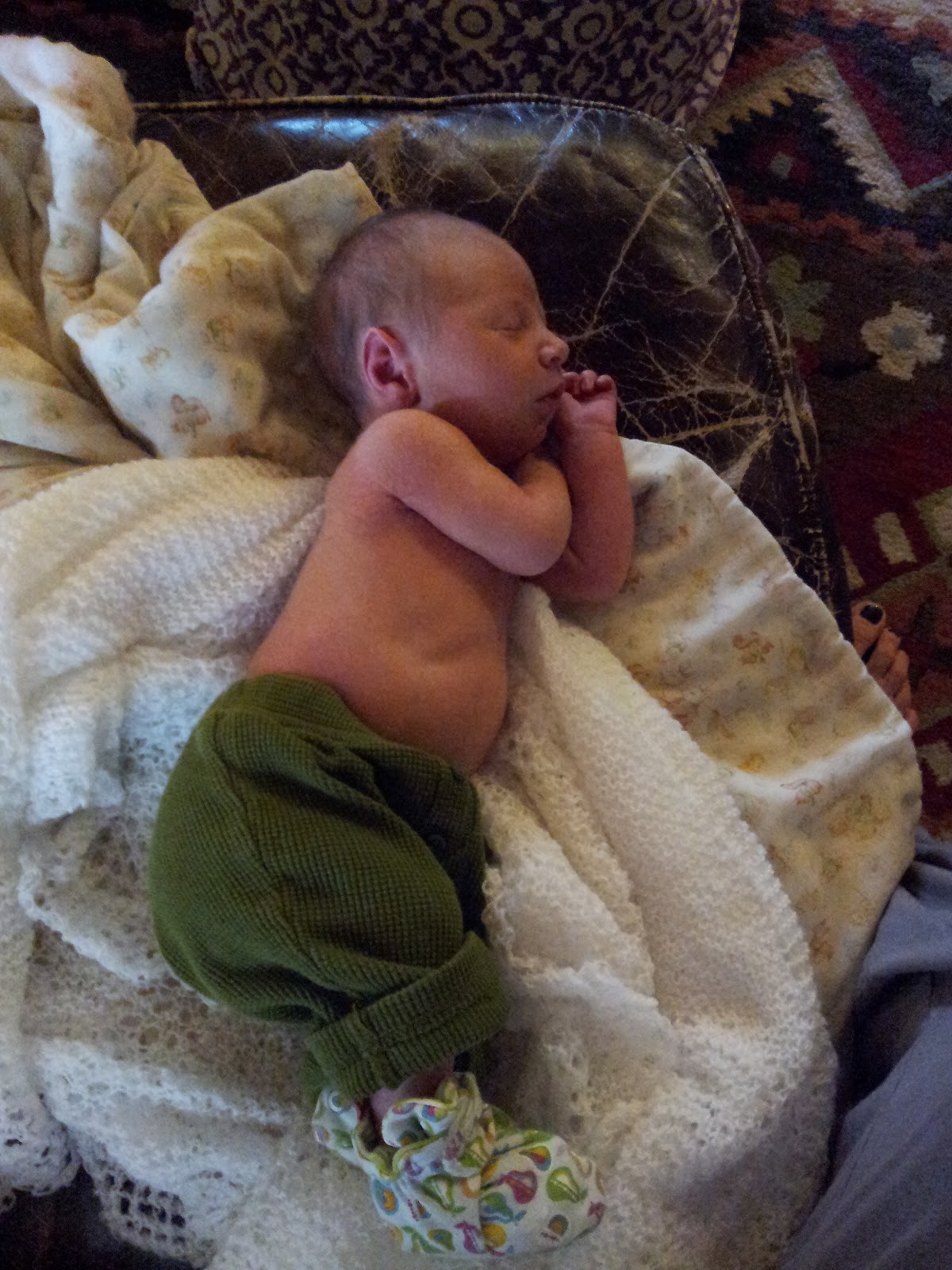 The Griffin Family: INCREDIBLE shrinking baby