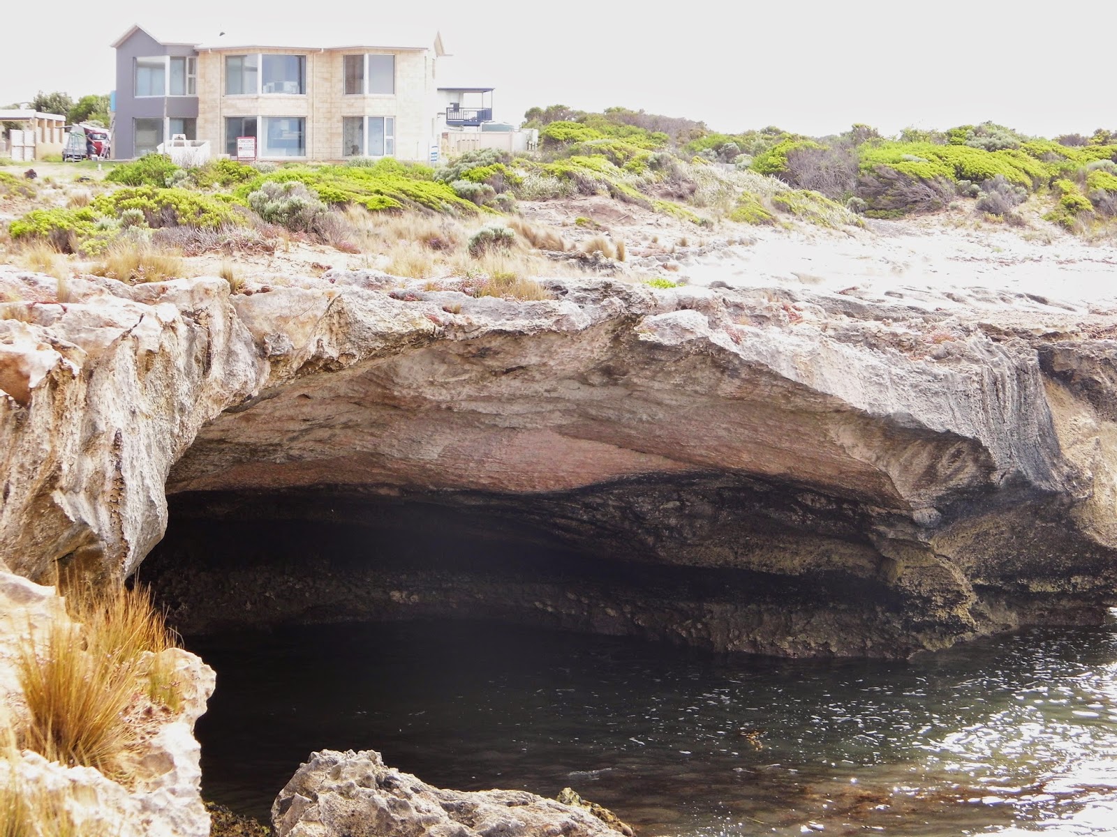 One Mother Hen: Blackfellows Caves