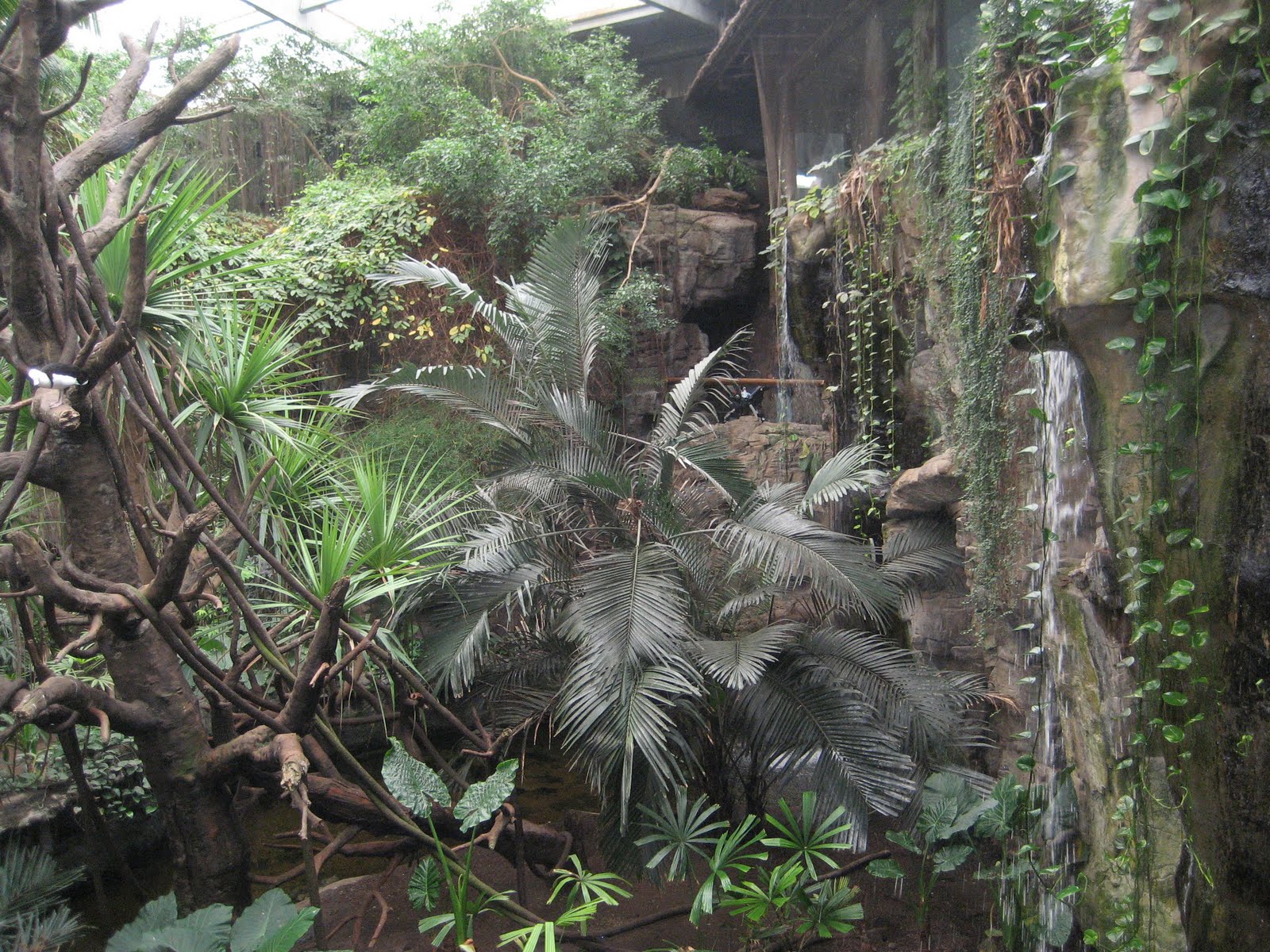 STOPPING BY THE WORDS: Indoor forest,incredible but wonderful