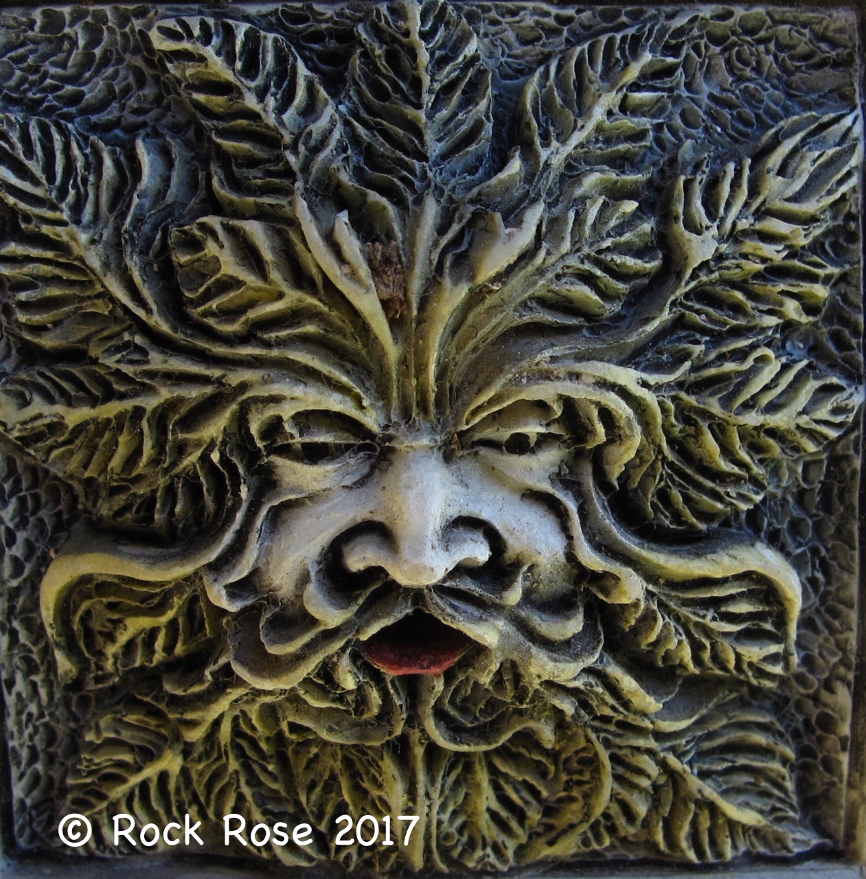 ROCK ROSE: THE GREEN MAN