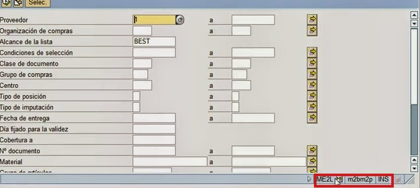 Informática fácil: SAP