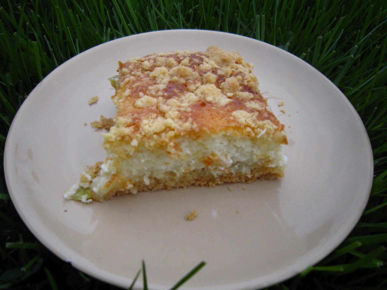 Mammu kokkamised: Rabarberi-kohupiimakook