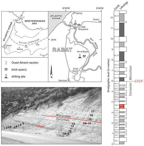 L'angolo della Geologia: Geologia: GSSP - Global Stratigraphic Section ...