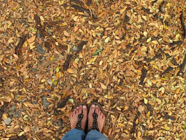 loveloveblog: silliman