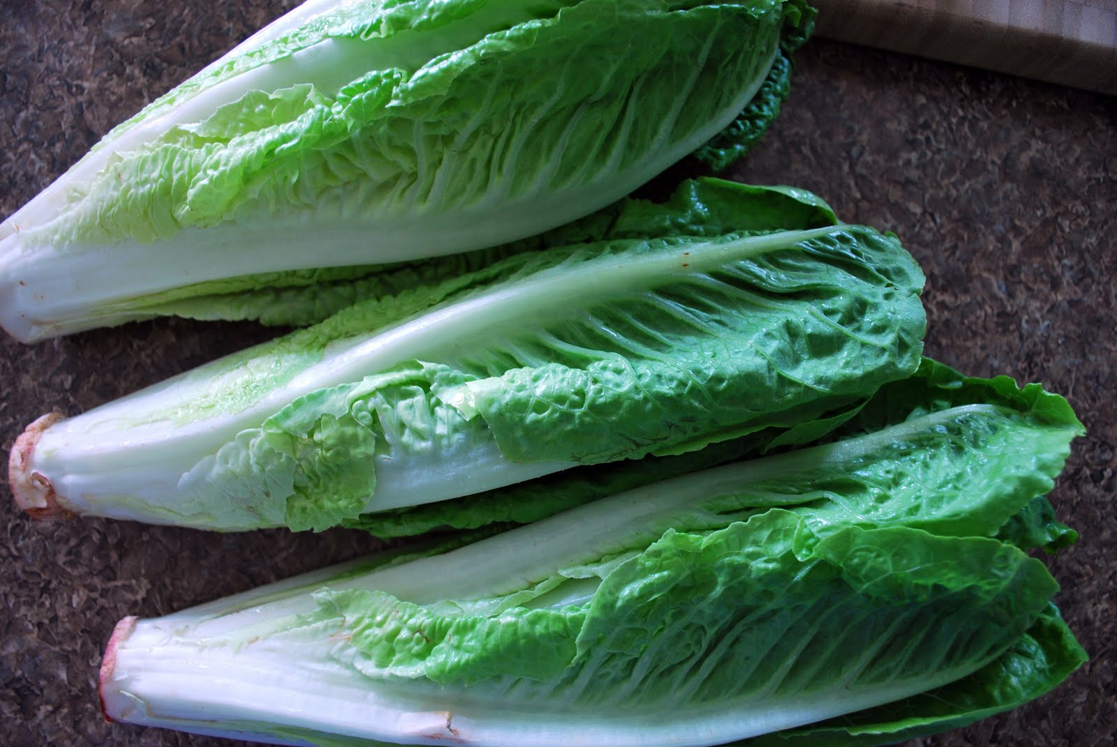 Larissa Another Day: Celestial Summer Salad