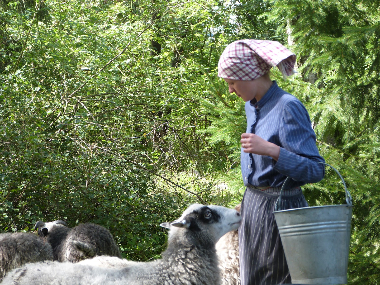 Vivre l'international: Visite du zoo Skansen de Stockholm