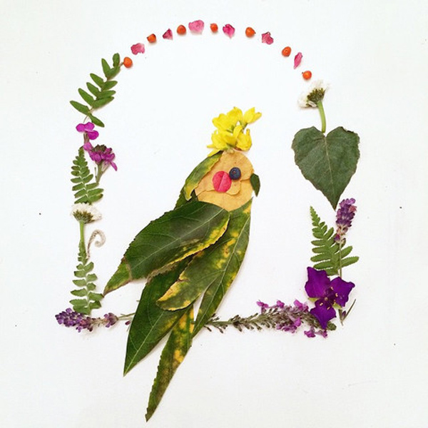 Art || Flora Forager - Mimosa Lane