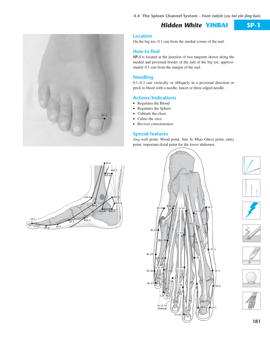 Acupuncture Masters: Acupuncture Points Database - Spleen channel