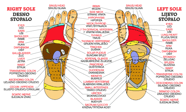 AdiAstro: Mapa Stopala