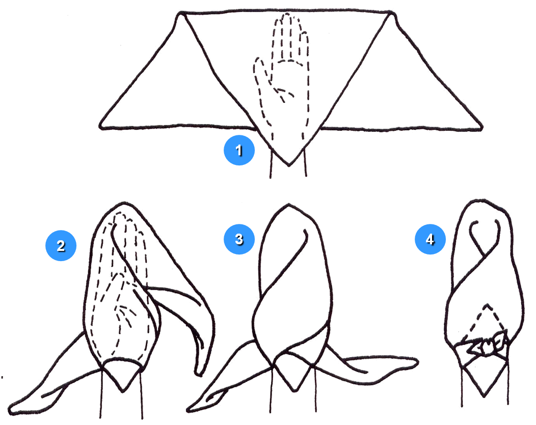 Ku Hifzhuddin: Cara Balutan & Jenis Balutan Anduh