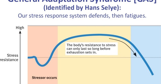 General Adaptation Syndrome (GAS) - Theory of Stress ~ Nursing Path