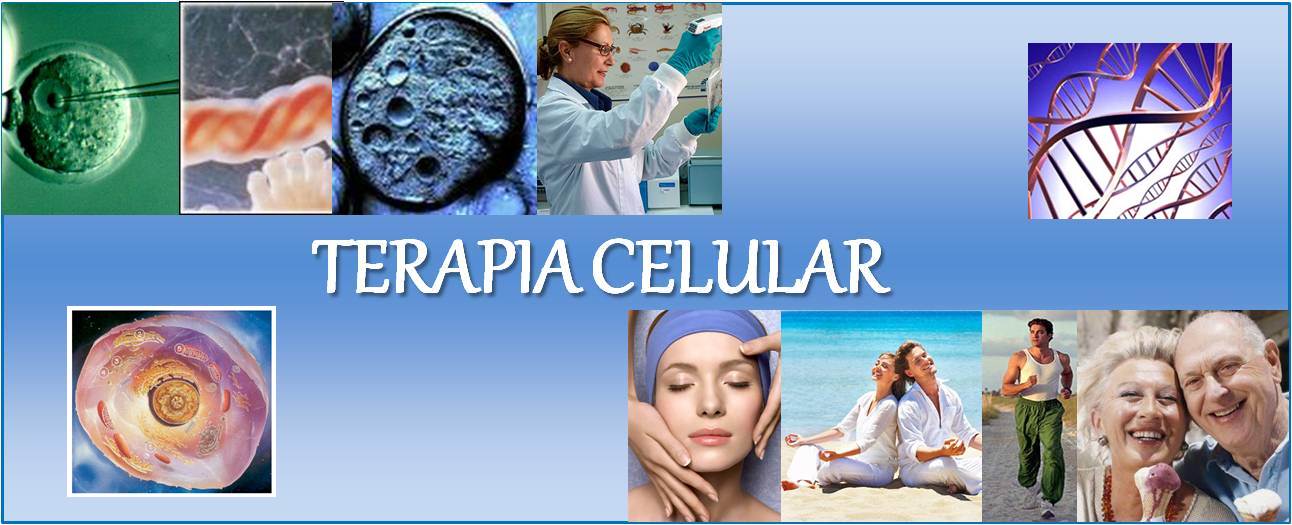 TERAPIA CELULAR: LOS BENEFICIOS DE LA TERAPIA CELULAR