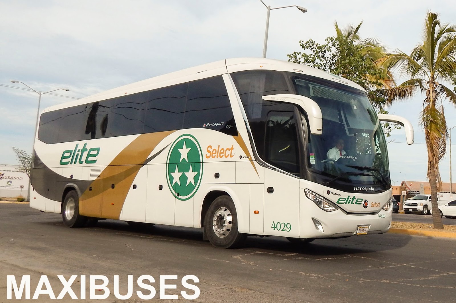MAXIBUSES: ELITE SELECT - NUEVAS UNIDADES