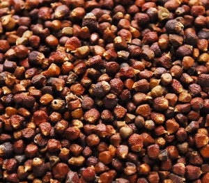 12 EXCITING BENEFITS OF ALLIGATOR PEPPER