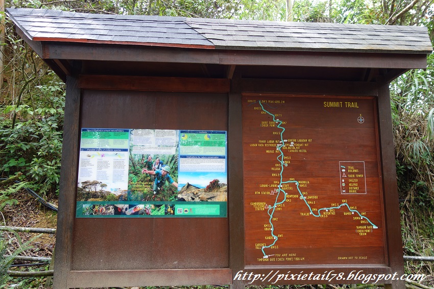 Kinabalu Park - Sabah