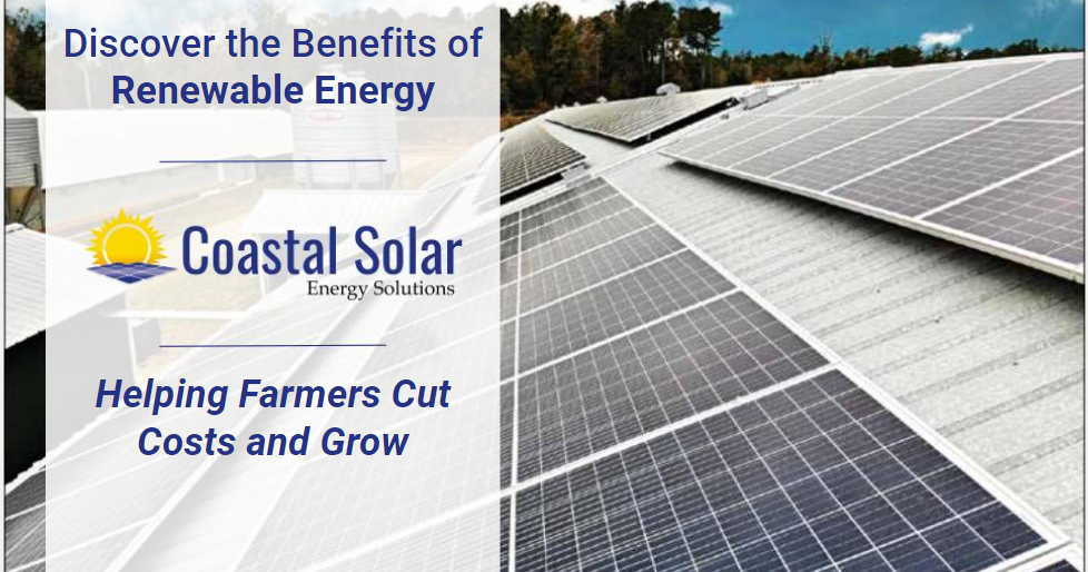 The Global Miller: Coastal Solar company profile