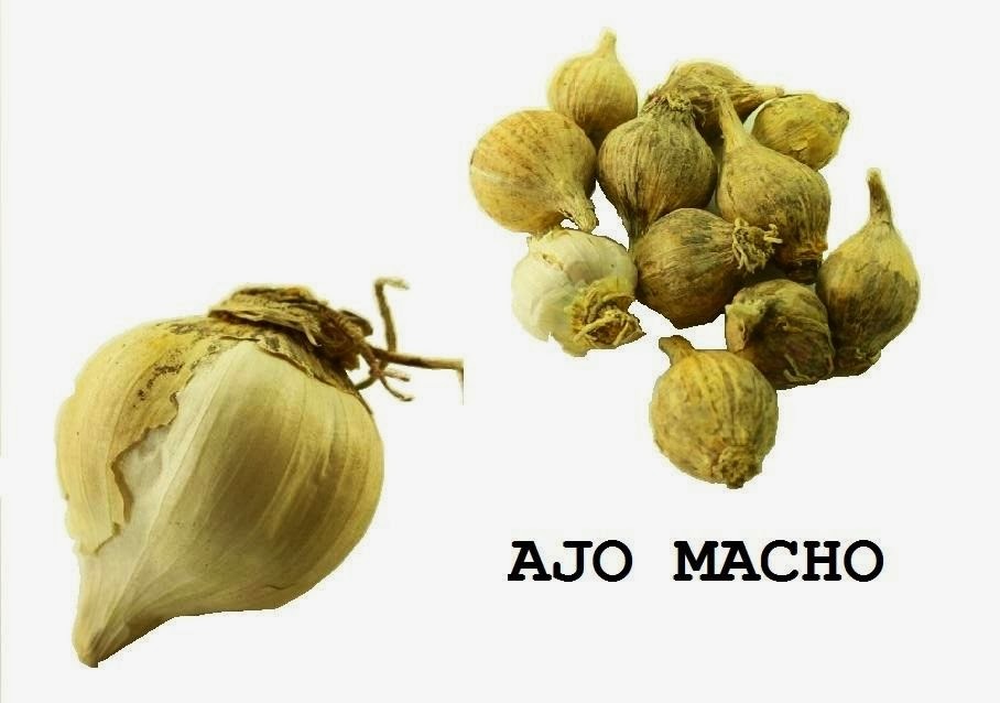 Limpia para la casa o negocio