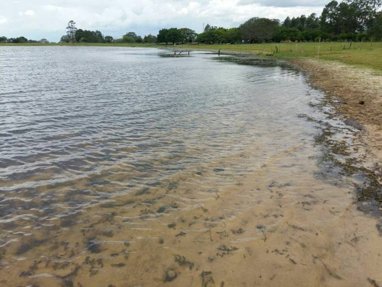 Balneario Don Centurión, Palmar Grande, Corrientes - Region Litoral