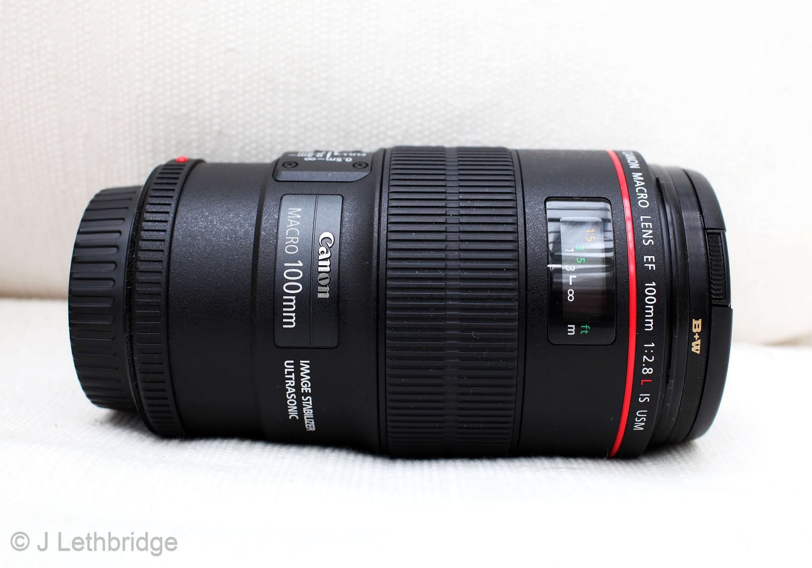 Wanstead Birder: A Review of the Canon 100mm f2.8L IS Macro
