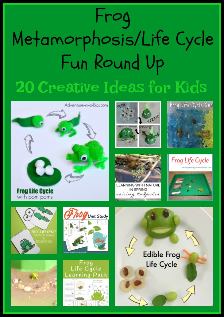 Tots and Me... Growing Up Together: Littles Learning Link Up: Frog ...